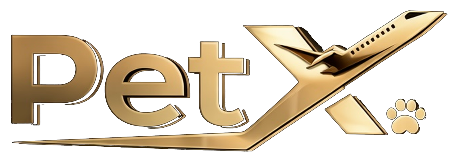 Private Jet Travel for Dogs UK and Dubai | PetX Jets